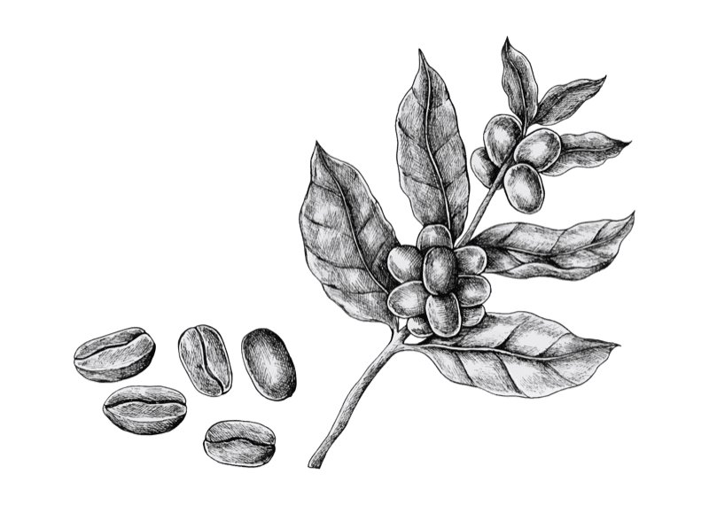 Perfect Gift Idea | Personalised Present